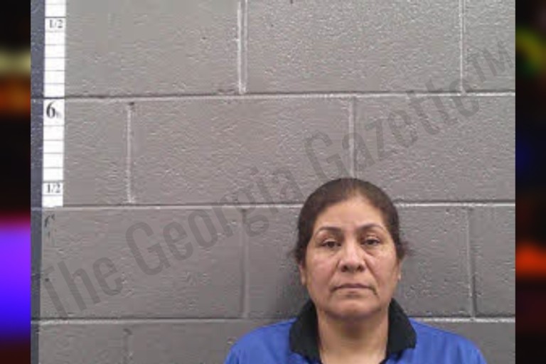 Banks County Jail Bookings – The Georgia Gazette