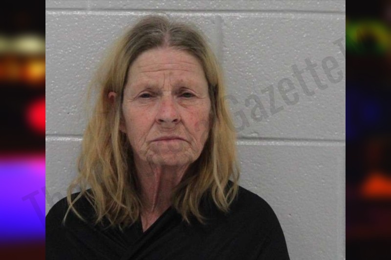 Kathy McCormick — Carroll County Jail Bookings