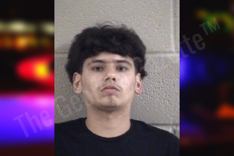 Tyson Machuca — Whitfield County Jail Bookings