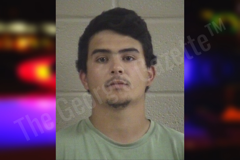 Alexis Magana — Whitfield County Jail Bookings