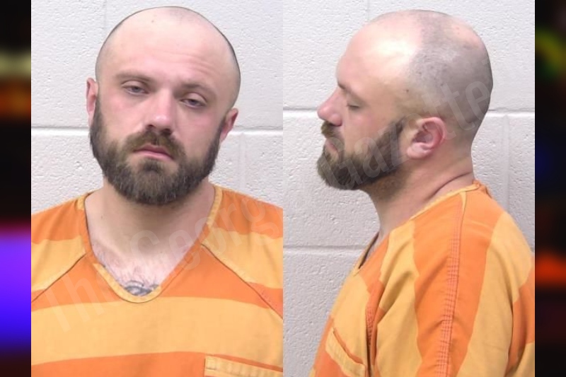Daniel Martin — Paulding County Jail Bookings