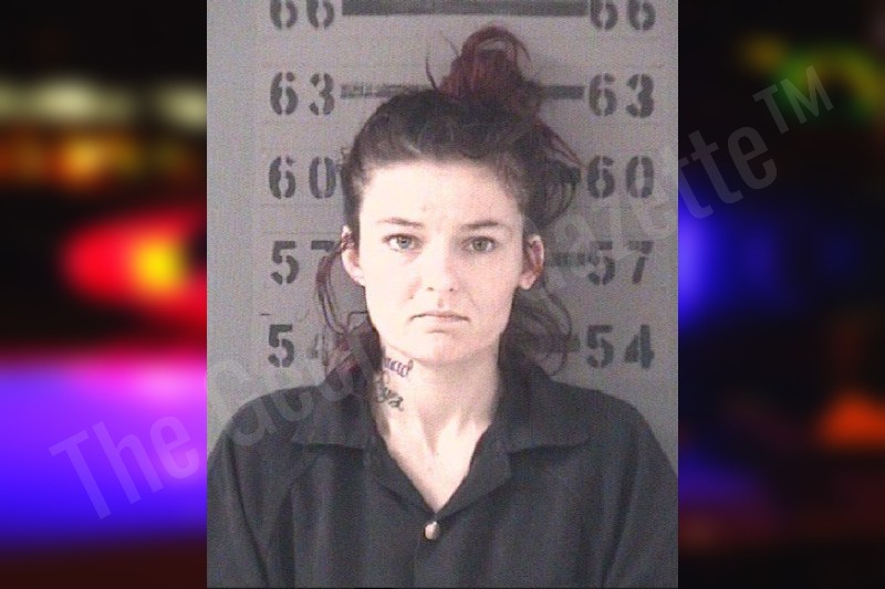 Kerra Mathis — Dougherty County Jail Bookings