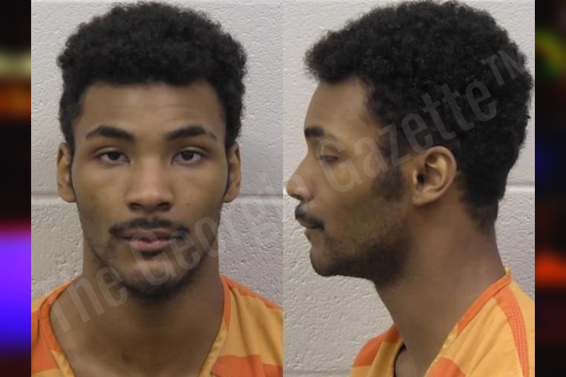 Davion McCall — Paulding County Jail Bookings