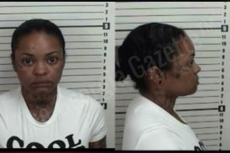 Renee McLacklan — Camden County Jail Bookings