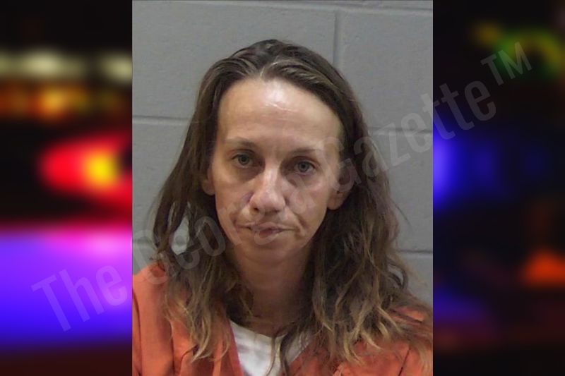 Brandy McLaughlin — Madison County Jail Bookings