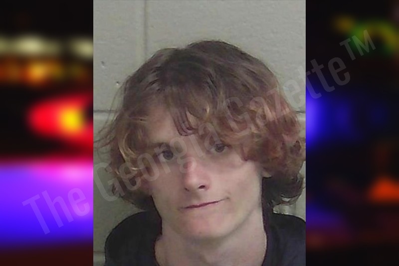 Timothy Merritt — Wayne County Jail Bookings