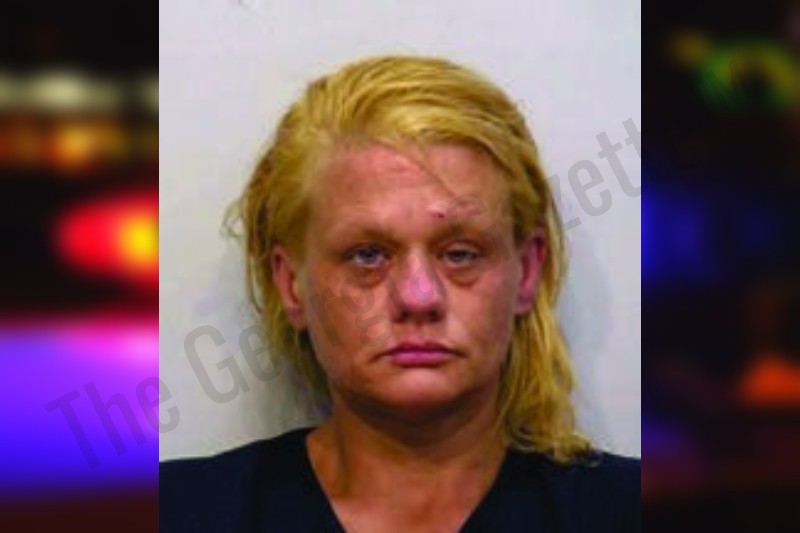 Lisa Mulkey — Bartow County Jail Bookings