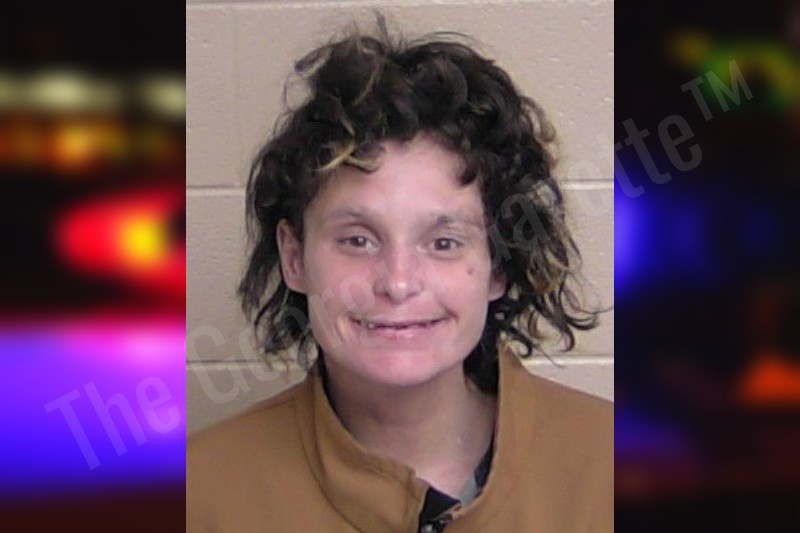 Desiree Mullins — Walker County Jail Bookings