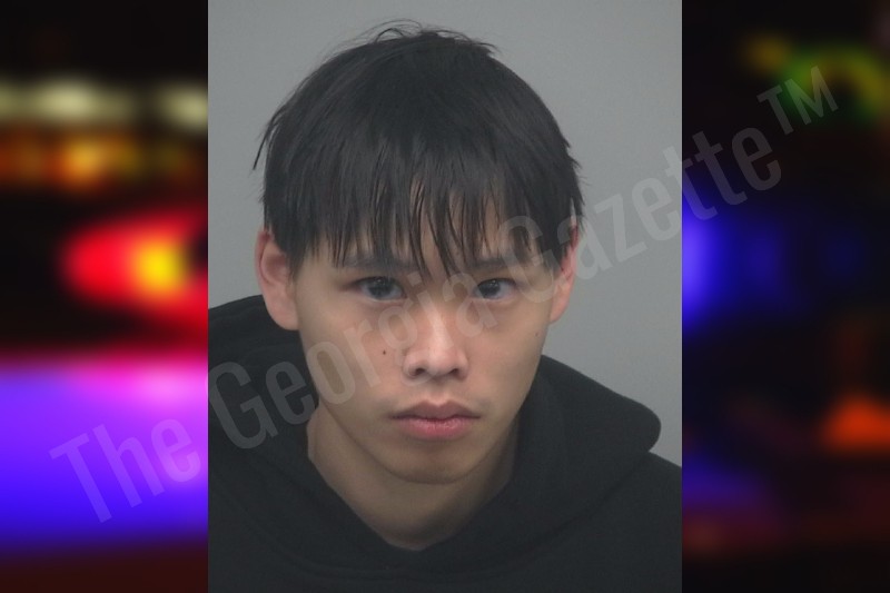 Raphael Nadler-Sachs — Gwinnett County Jail Bookings