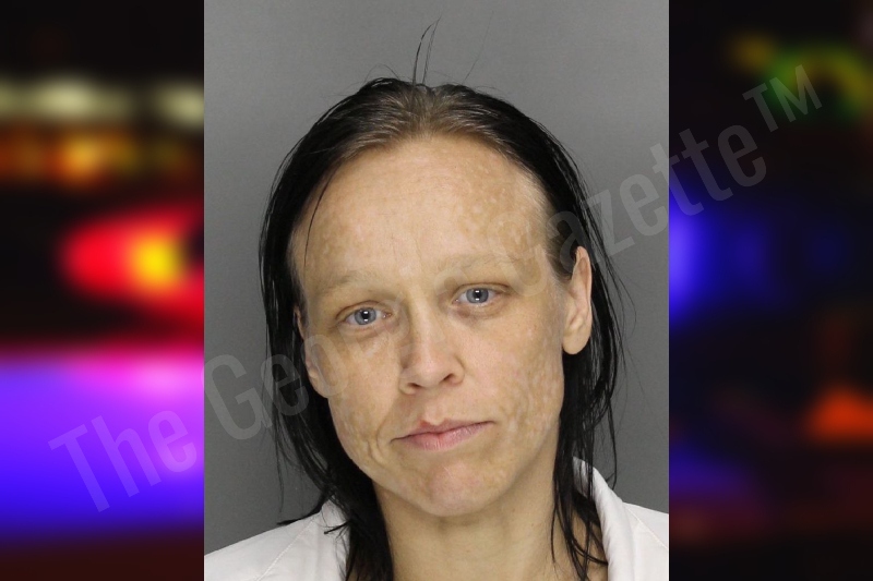 Tosha Nation — Cobb County Jail Bookings