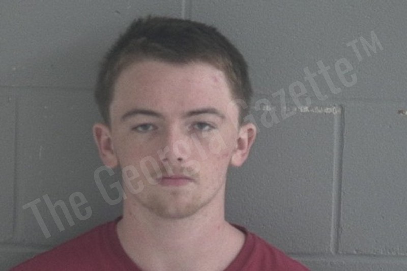 Jacob Nelson — Brantley County Jail Bookings