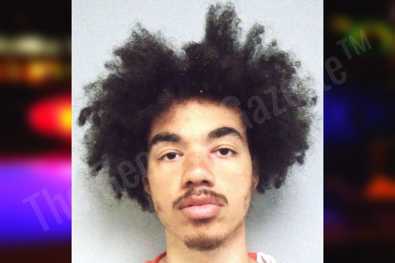 Isaiah Norman — Burke County Jail Bookings