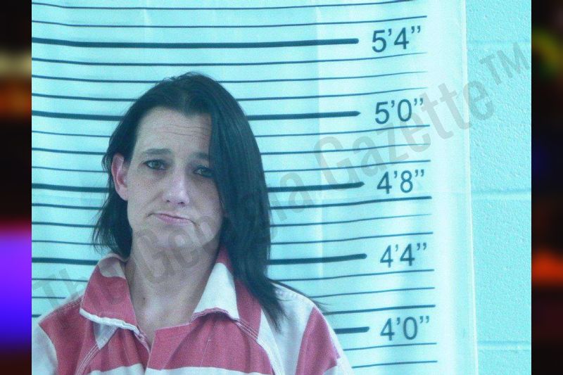 Crystal Norton — Stephens County Jail Bookings