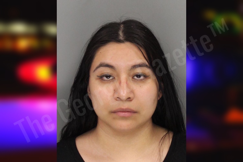 Maria Pena — Cobb County Jail Bookings