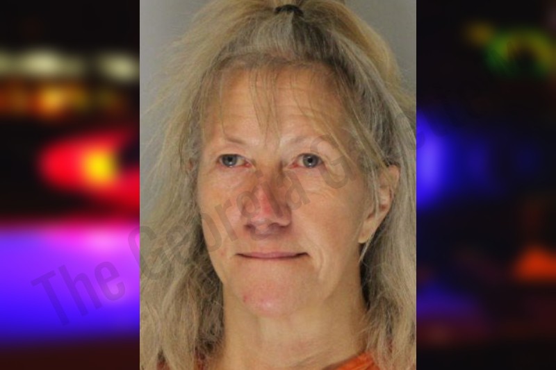 Rachel Pendley — Hall County Jail Bookings