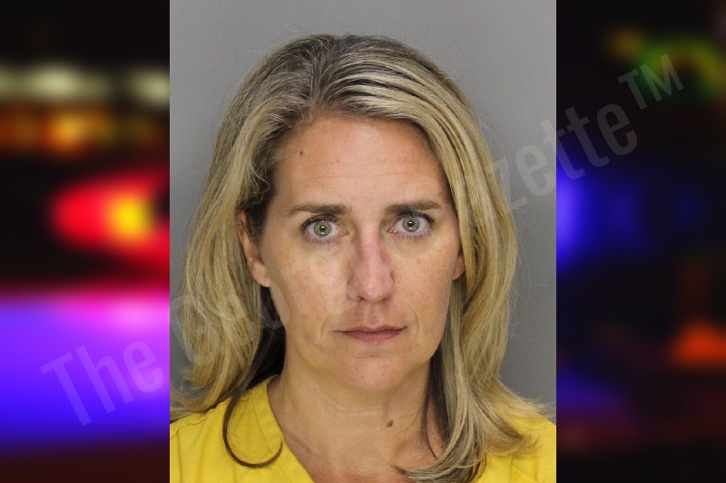 Elizabeth Piazzi — Cobb County Jail Bookings