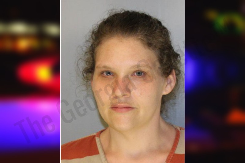 Sarah Pilcher — Hall County Jail Bookings