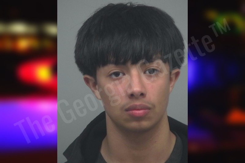 Brandon Portillo — Gwinnett County Jail Bookings