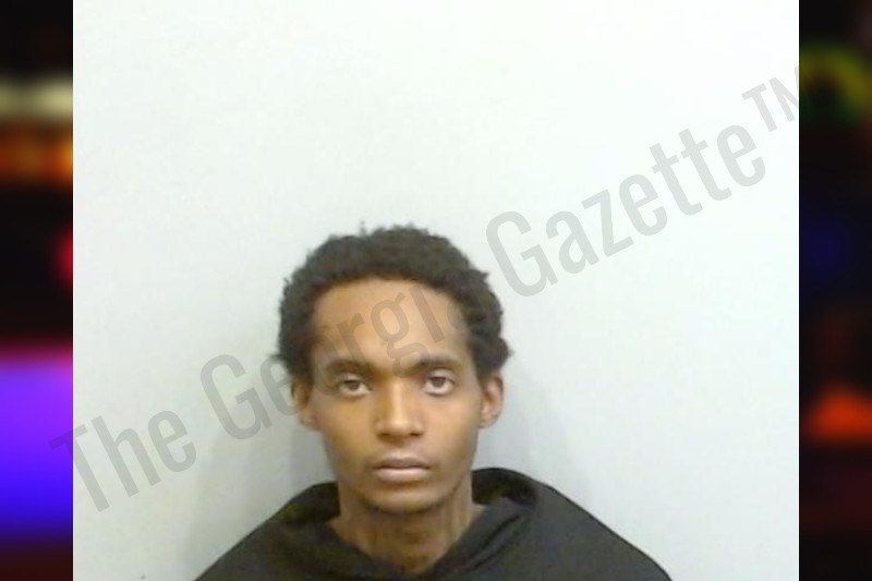 Tremon Palmer — Fulton County Jail Bookings