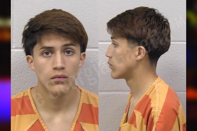 Edmar Perez-De Leon — Paulding County Jail Bookings