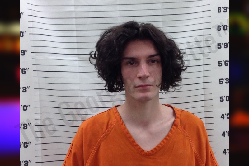 Trevor Powell — Pickens County Jail Bookings