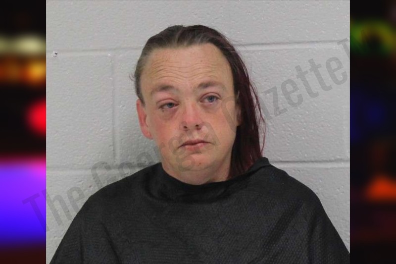 Virginia Ragsdale — Carroll County Jail Bookings