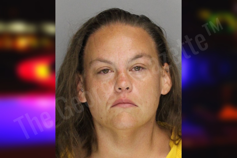 Erin Rainey — Cobb County Jail Bookings