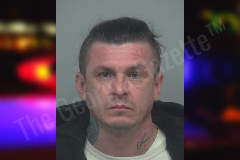 Eldin Rekic — Gwinnett County Jail Bookings