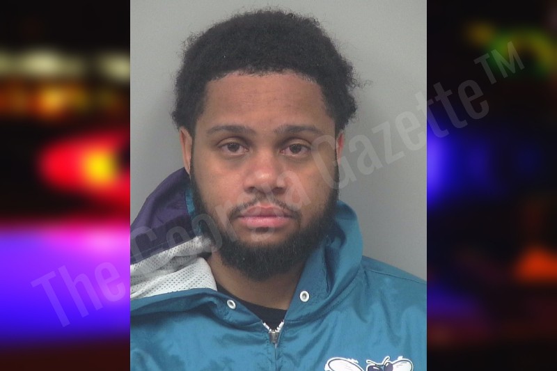 Cameron Rice — Gwinnett County Jail Bookings