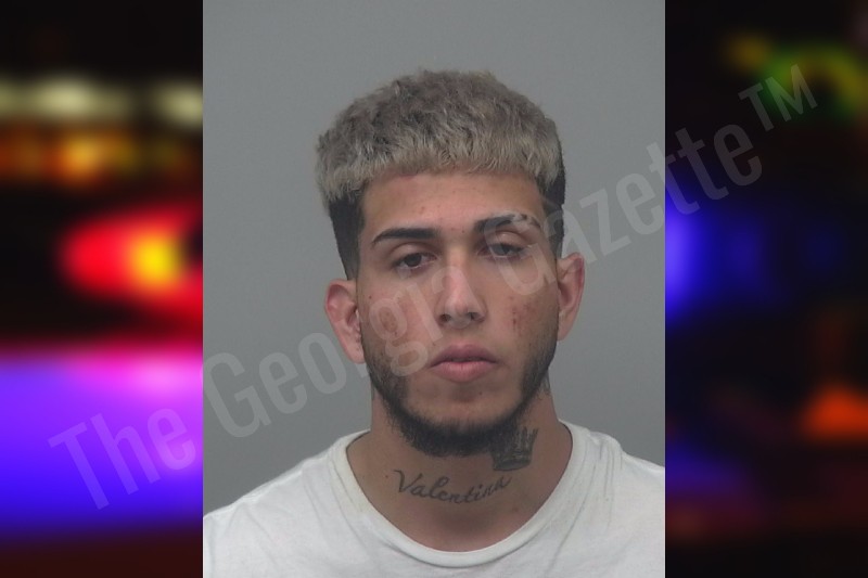 Gian Rizzon Dimeo — Gwinnett County Jail Bookings