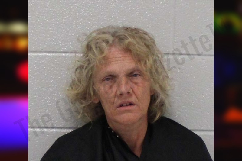 Paige Rodgers — Carroll County Jail Bookings