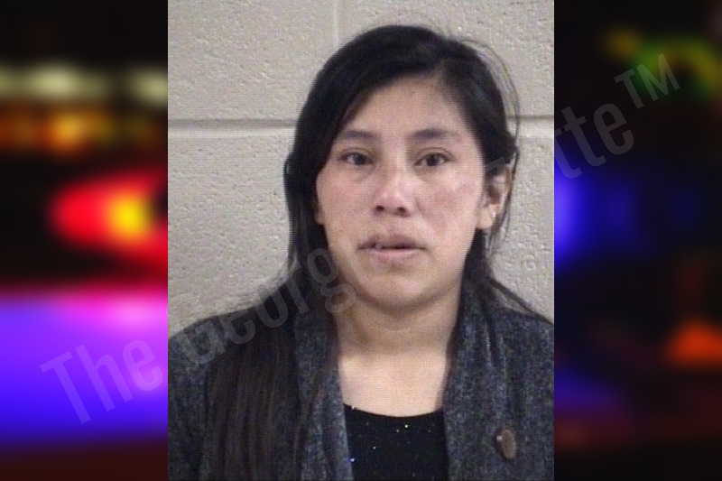 Brendy Ramirez-Vasquez — Whitfield County Jail Bookings
