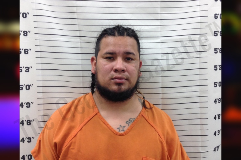 Milton Ramos-Herrera — Pickens County Jail Bookings