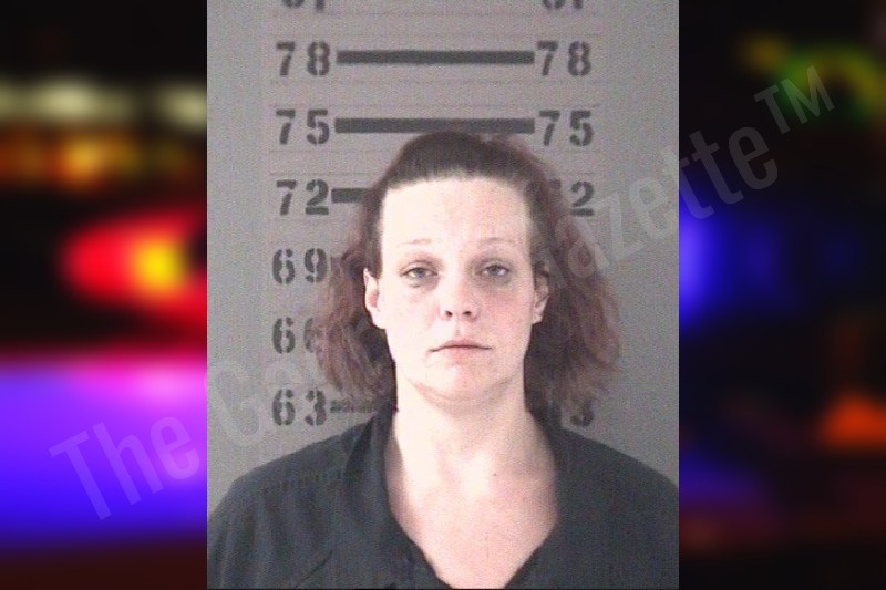 Stephanie Rasmussen — Dougherty County Jail Bookings