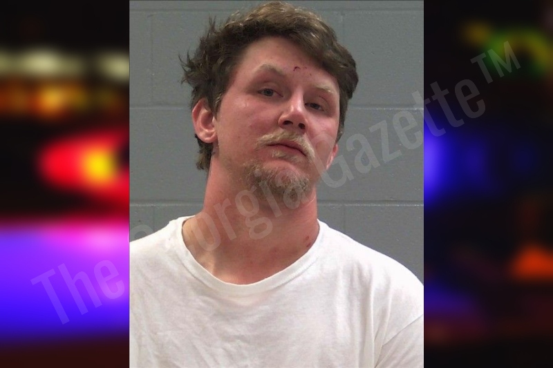 Travis Reese — Baldwin County Jail Bookings