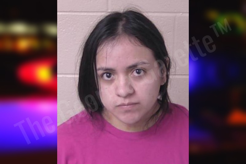 Esmaylin Reyes-Rivera — Walker County Jail Bookings