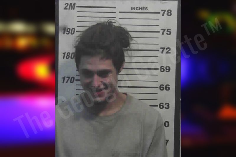 Zion Ritzman — Meriwether County Jail Bookings