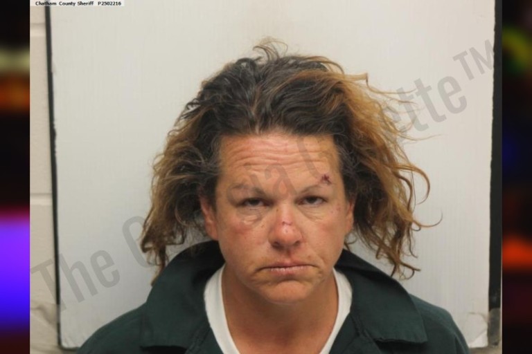 Danielle Rizzo — Chatham County Jail Bookings