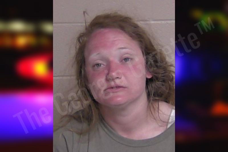 Angelia Robinson — Walker County Jail Bookings