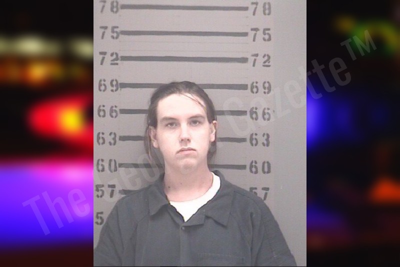 Brandon Rowe — Dougherty County Jail Bookings