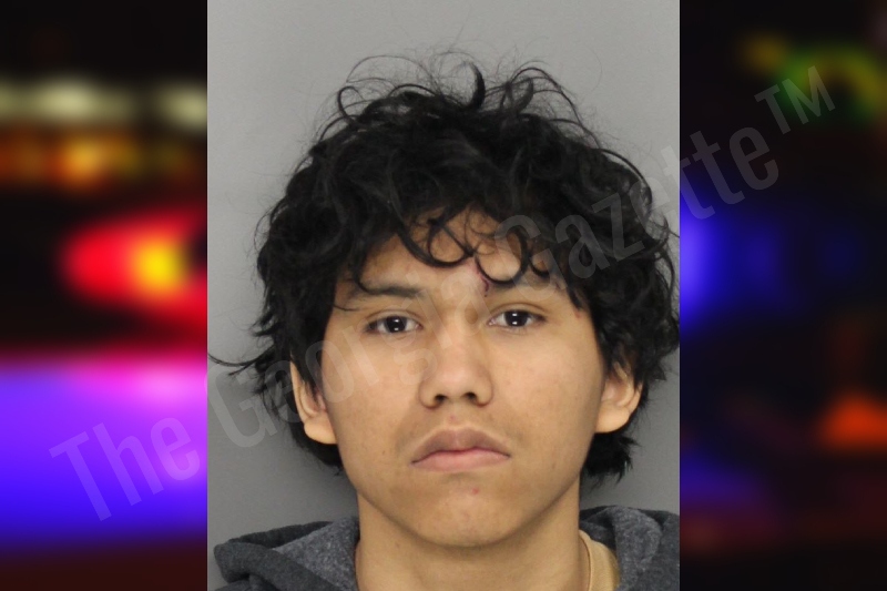 Dorian Santos — Cobb County Jail Bookings