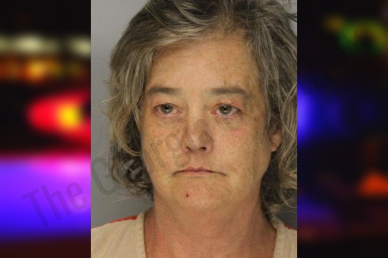 Robyn Schaefer — Hall County Jail Bookings