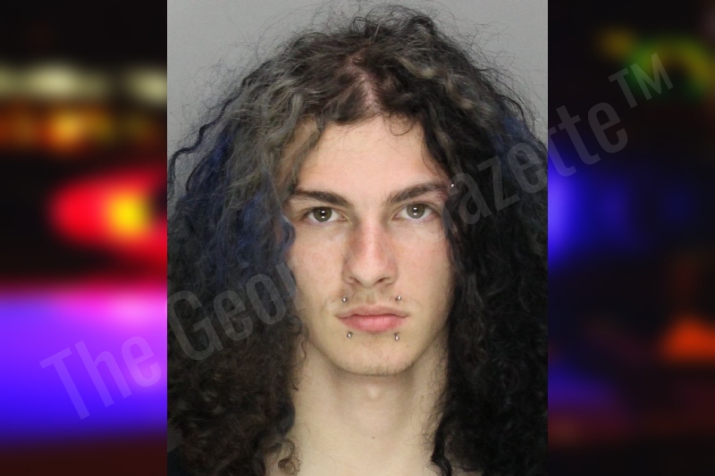 Dylan Simmons — Cobb County Jail Bookings