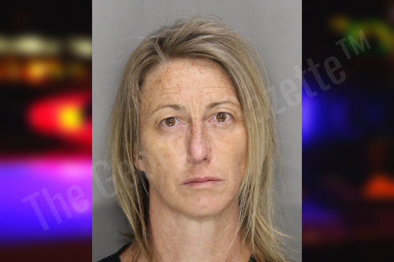 Mary Skipper — Cobb County Jail Bookings