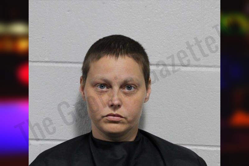 Chelsie Stinchcomb — Habersham County Jail Bookings