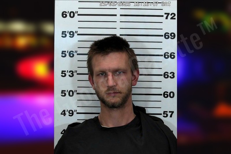 Brandon Sanders — Hart County Jail Bookings