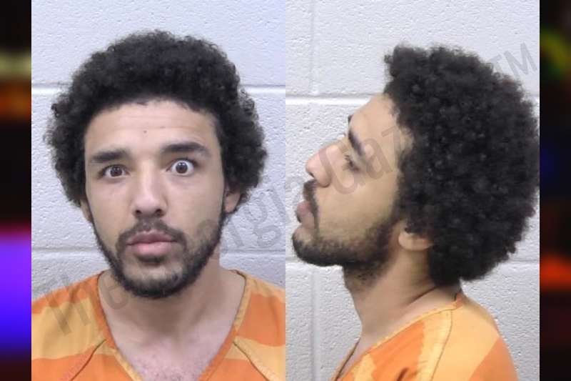 Michael Satterfield — Paulding County Jail Bookings