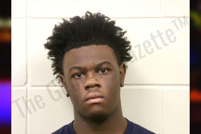 Jeramiah Seago — Bulloch County Jail Bookings