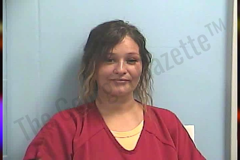 Briana Seay — Dawson County Jail Bookings