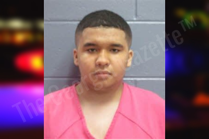 Joseph Seay — Lee County Jail Bookings